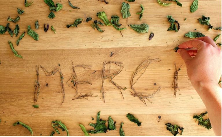 Merci - Nature & Autonomie