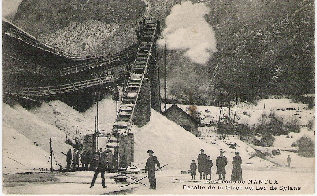 Conservez vos aliments sans frigo - Nature & Autonomie